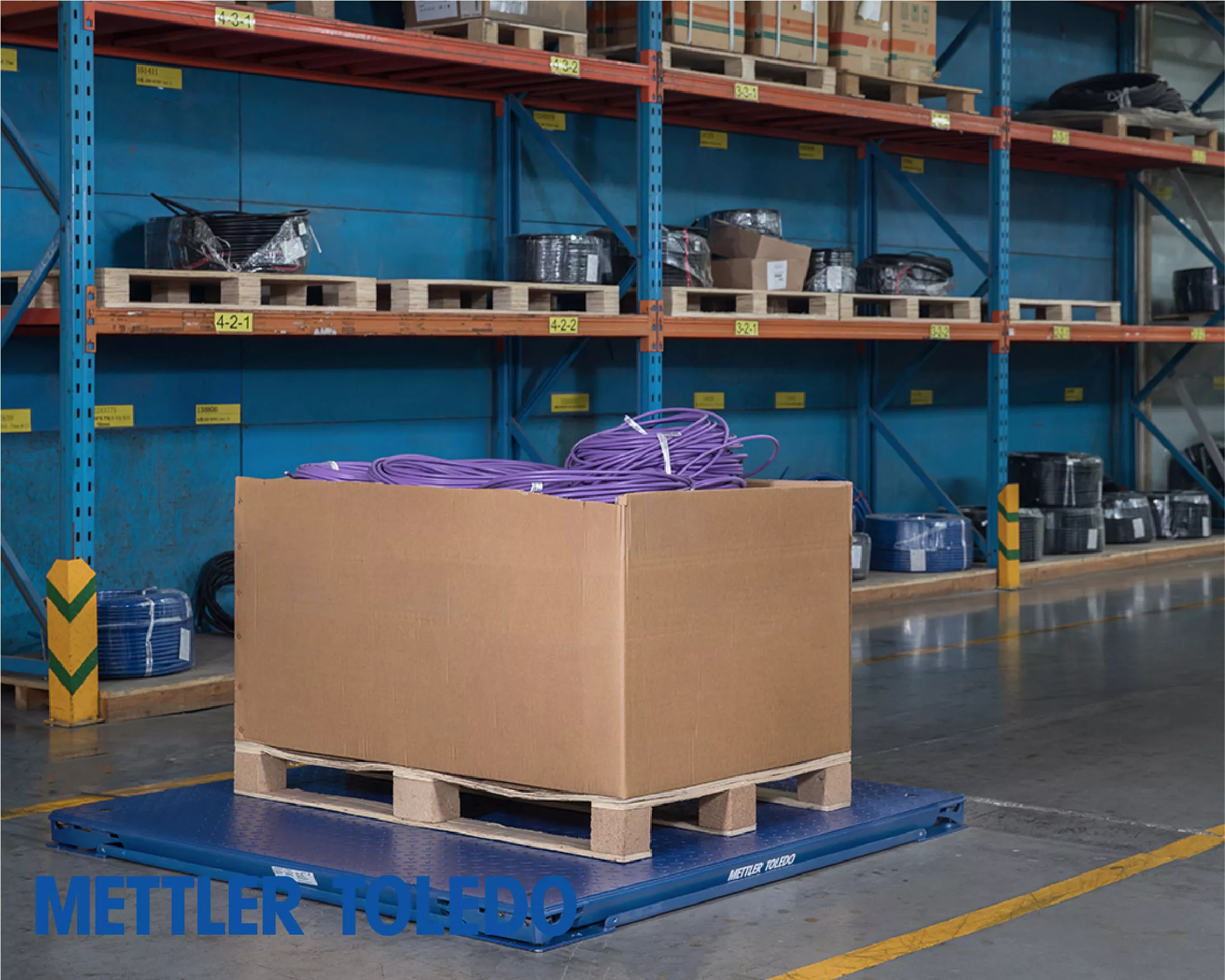 PFA220 Floor Scale - Baseline Scales